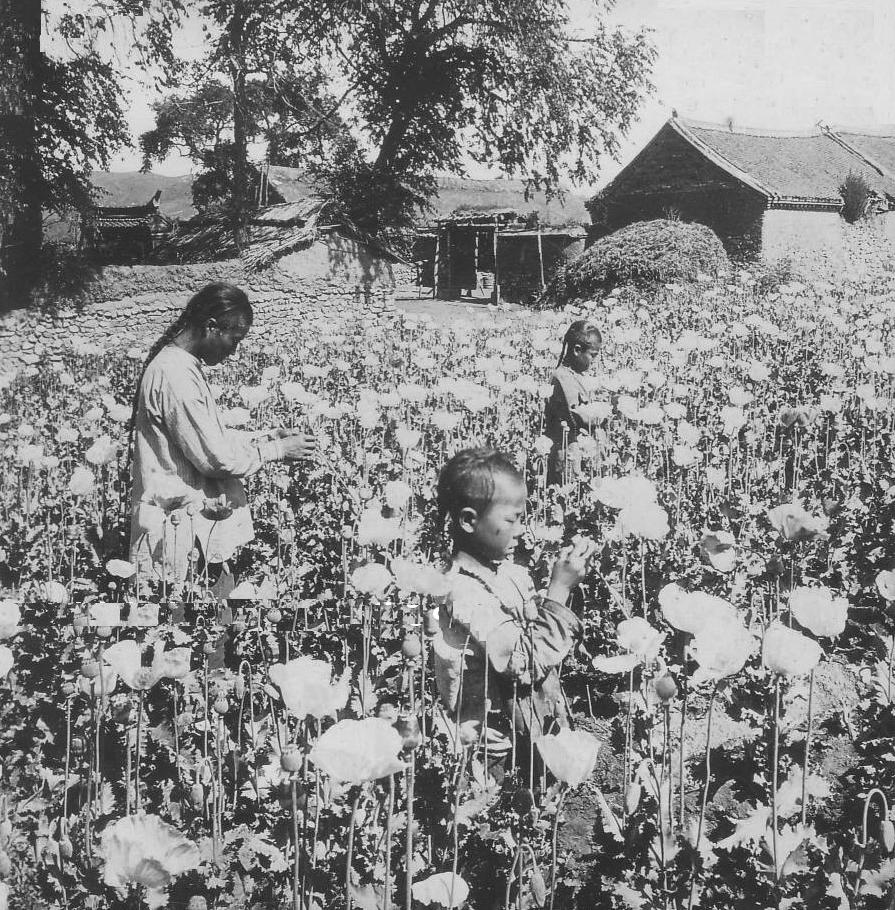 Chinese Economy: Colonial Era