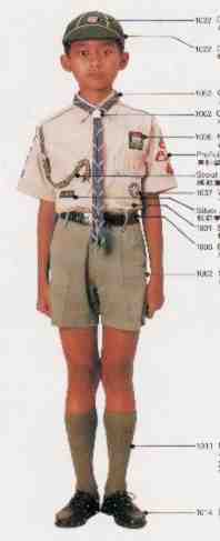Hong Kong boy scout uniforms -- Scouting levels